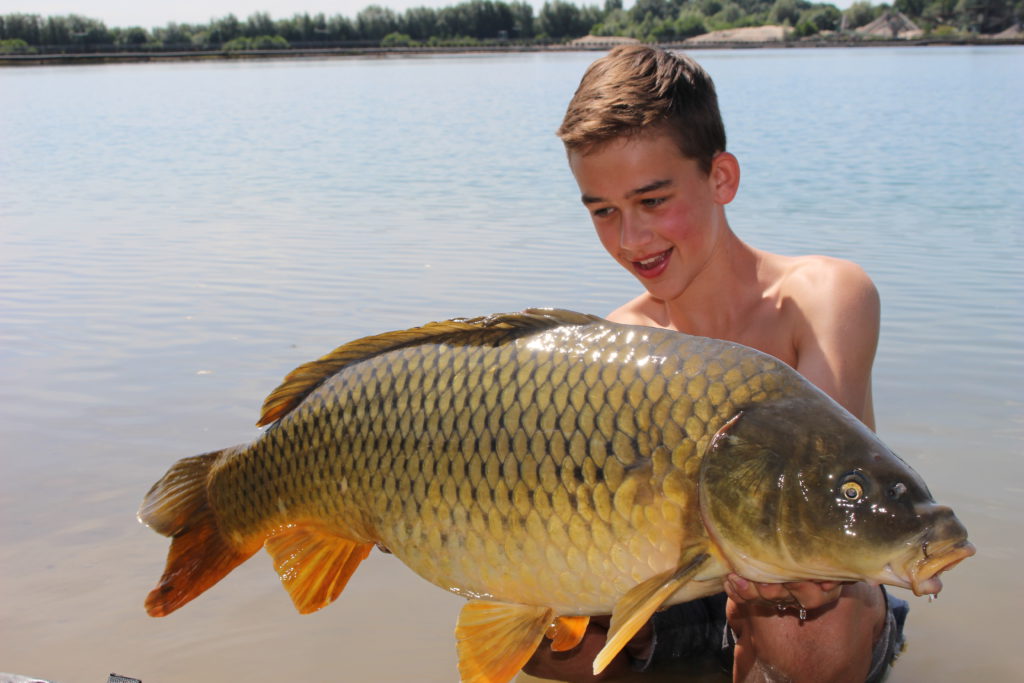 Knapp vorbei ist auch daneben – Robert Laps | Successful-Baits